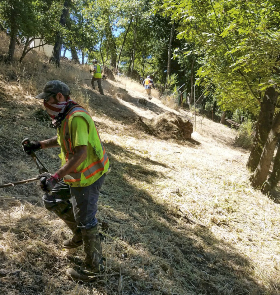 Our Work – The Weed Solution