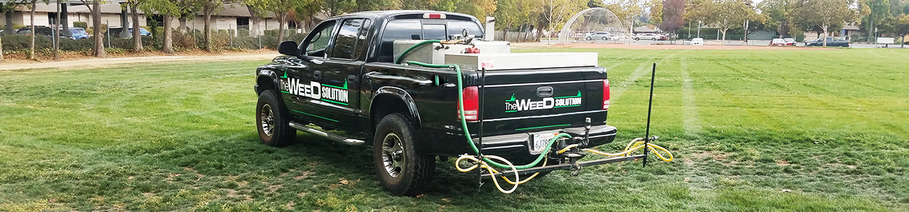 Weed Spraying – The Weed Solution